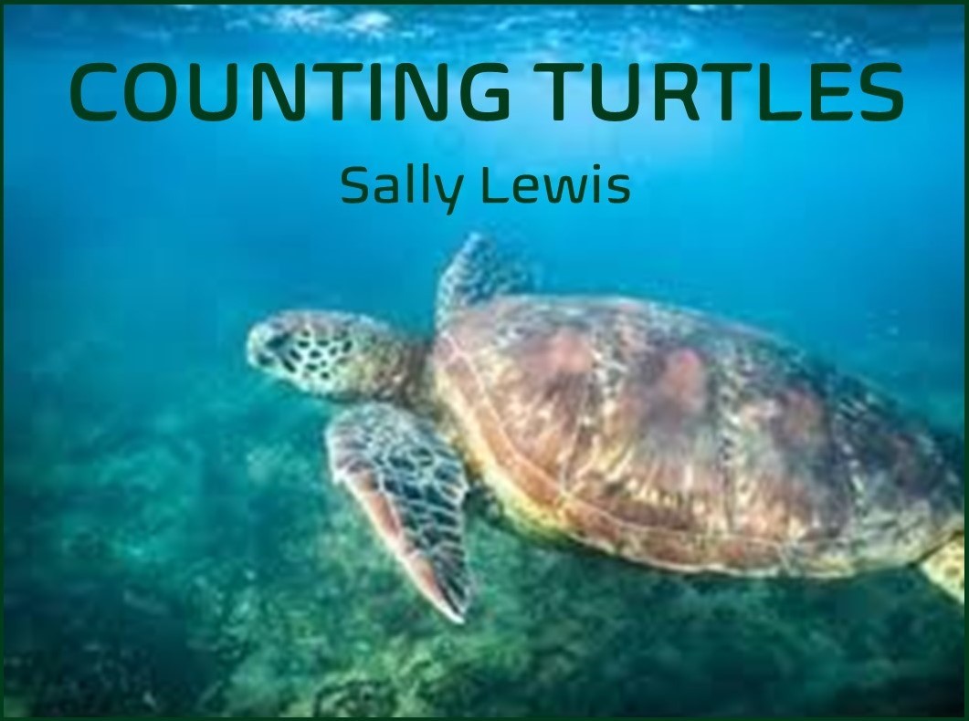 *NEW PROJECT: Counting Turtles - Best of Both Theatre Company